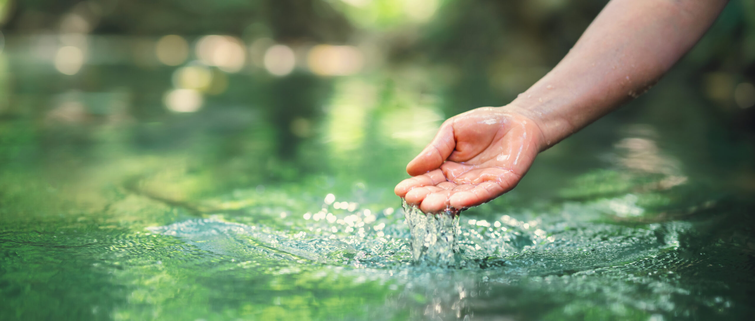hand touches water in the pond.hand touches water in the pond.hand ...